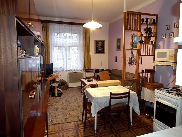 Flat in the heart of Decin close to via ferrata, Podmokly ...