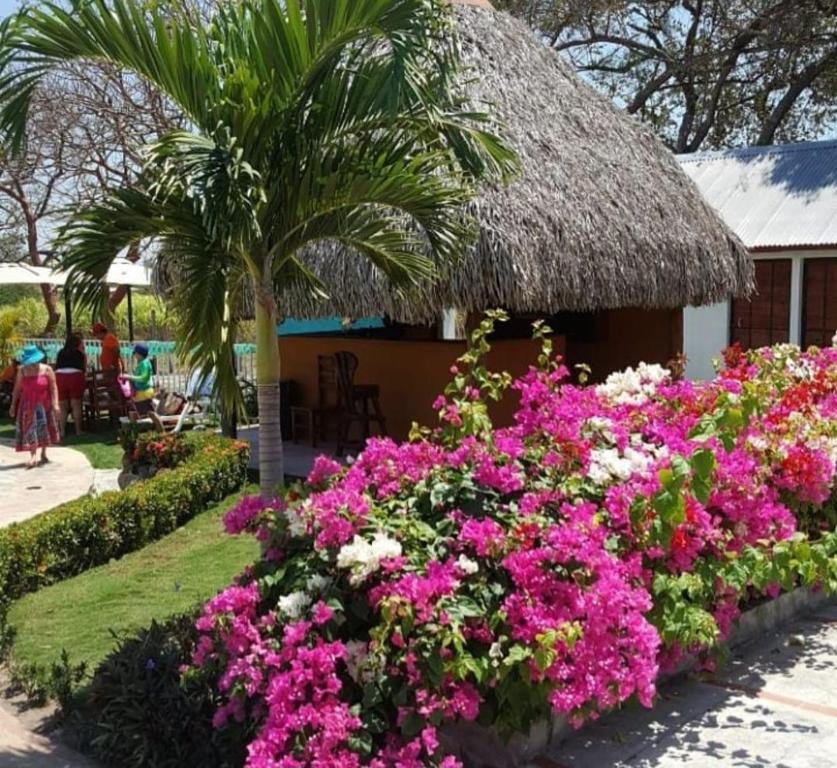 El rincon de Lupe, Colón (precios actualizados 2025)