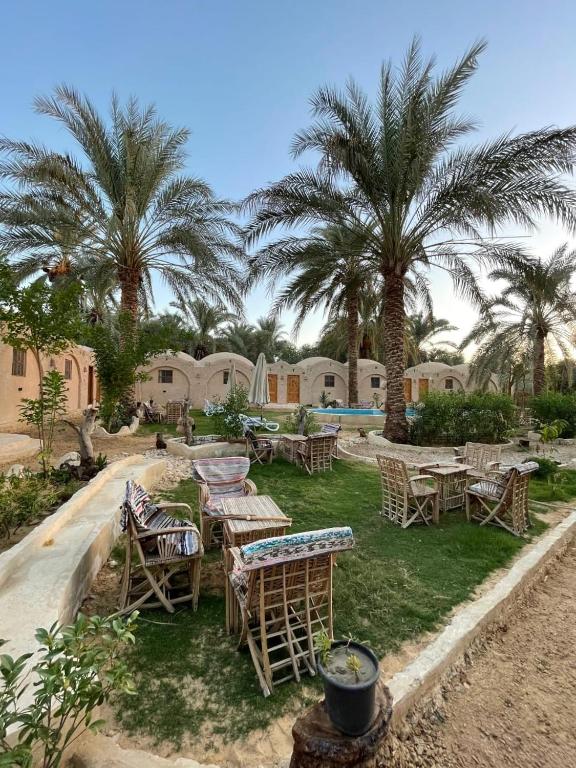 Siwa Palace Lodge, Siwa (updated prices 2025)