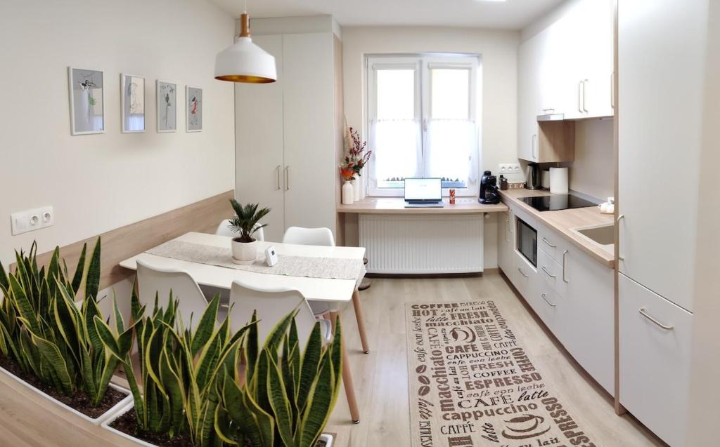 Albert's House, Târgu-Mureş (updated prices 2026)