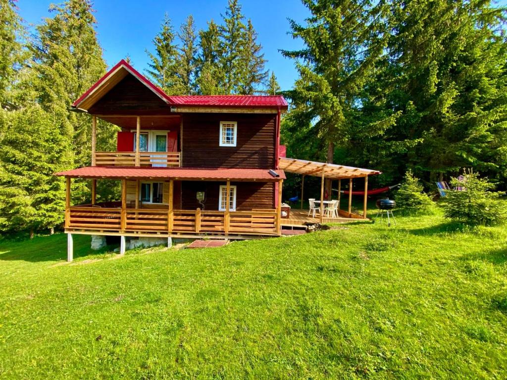 Cosy wooden house in the heart of Apuseni., Beliş (updated prices 2025)