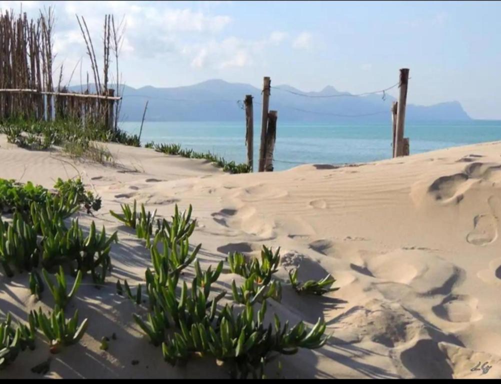 Limoncello Apri la finestra e respira il profumo del mare Alloggio ...
