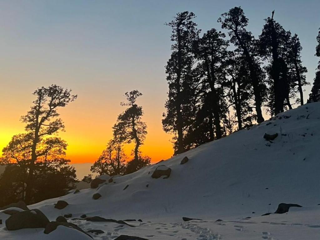 Hill Hikers Triund Camps, Dharamshala (updated prices 2026)