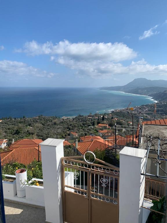 Captain-Leon, Kími (updated prices 2025)