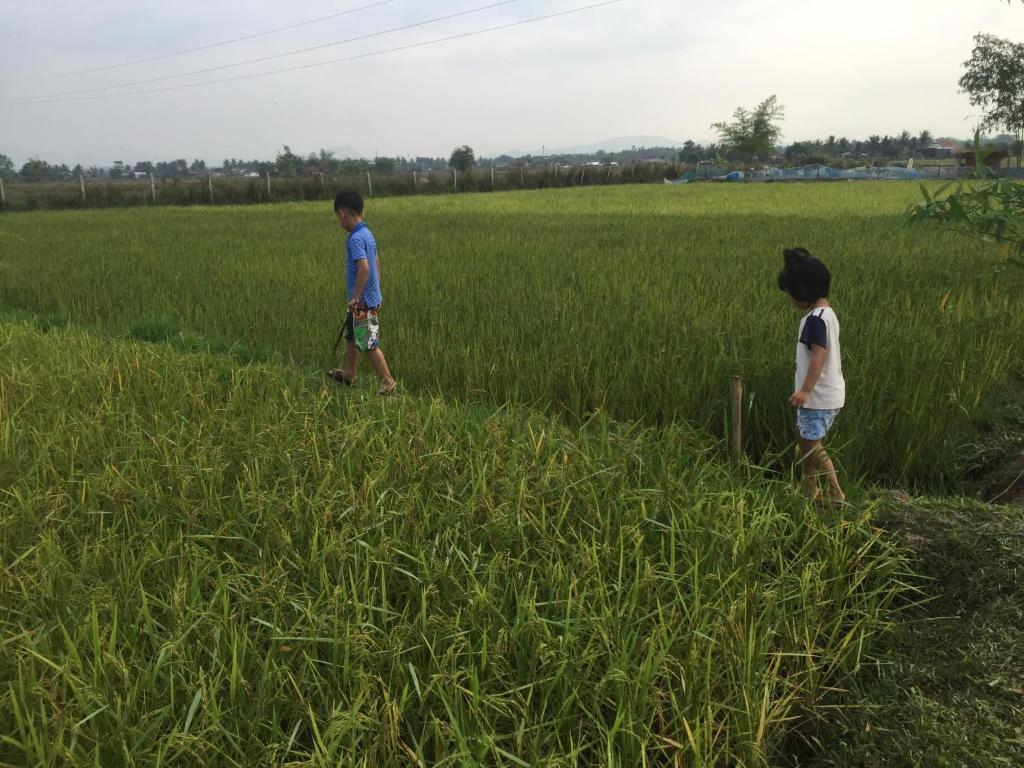 Vilakon Thoungchaleun, Ban Phôn Ngam (updated prices 2025)