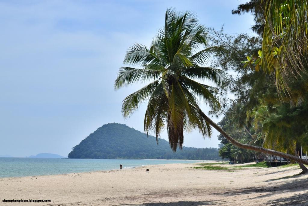 life beach 1, Ban Phru Ching (1) (aktualne ceny na rok 2025)