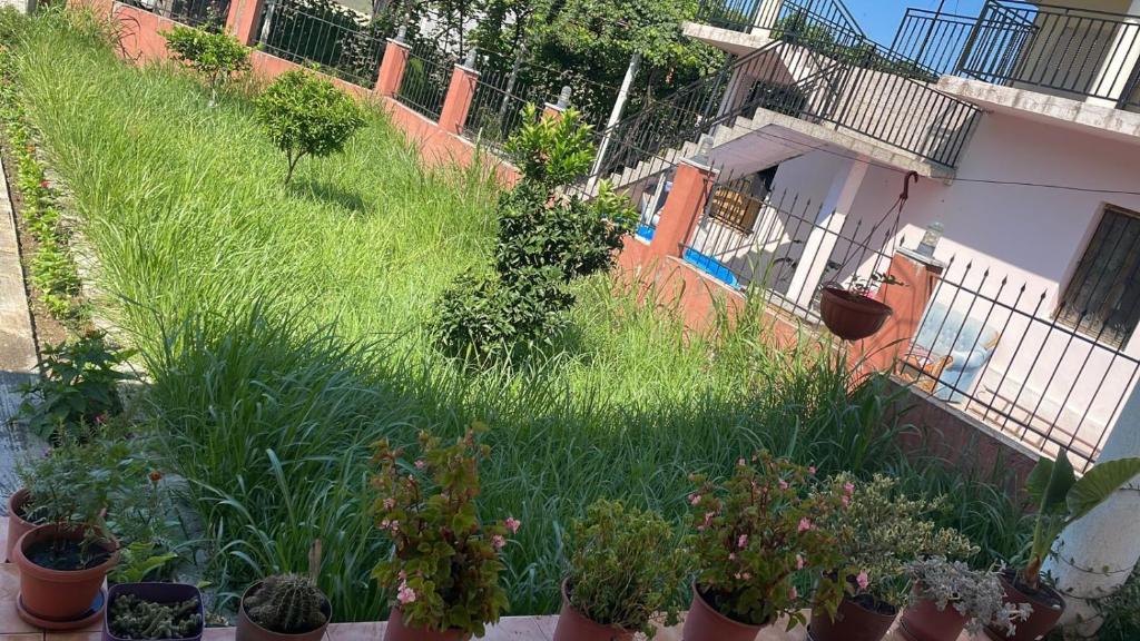 Lekaj Home, Shkodër (updated prices 2025)