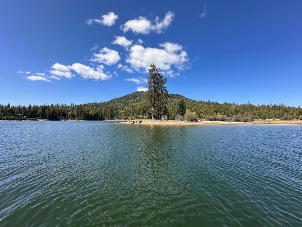 O'connell-lake Area Free Night Special, Bass Lake (updated prices 2025)