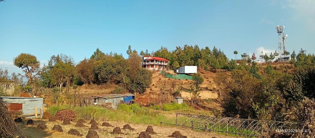Everest Home Stay Temal Kalimati Tower, Thapathali (updated prices 2026)