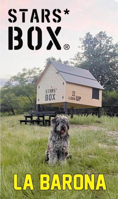 Stars box La Barona, Villar San Costanzo (updated prices 2025)