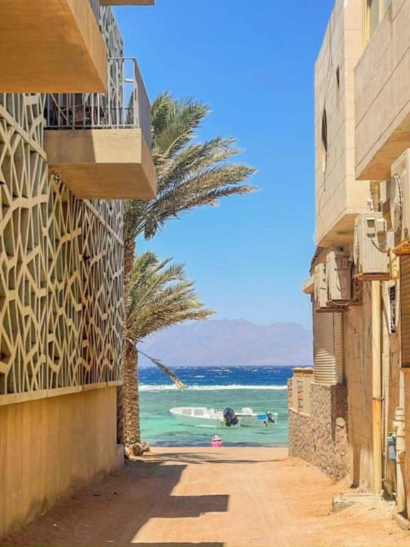 Oasis, Dahab (updated prices 2026)