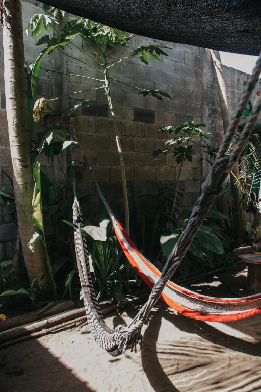 Casa Austera, El Paredón Buena Vista (updated prices 2025)