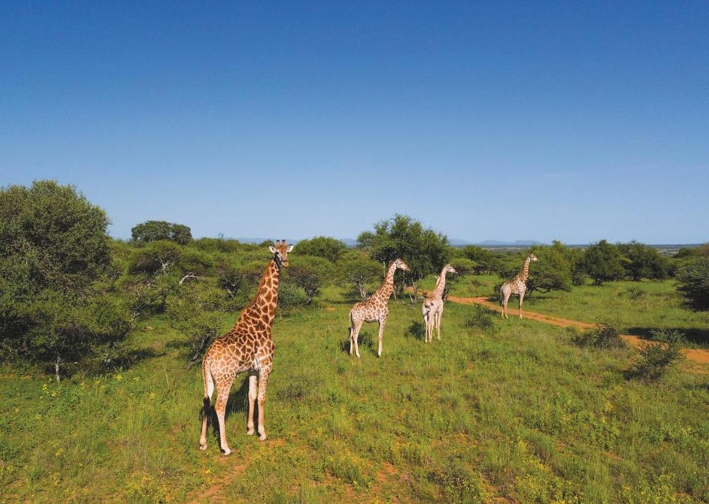 Finfoot Lake Reserve by Dream Resorts, Vaalkop Dam (updated prices 2025)