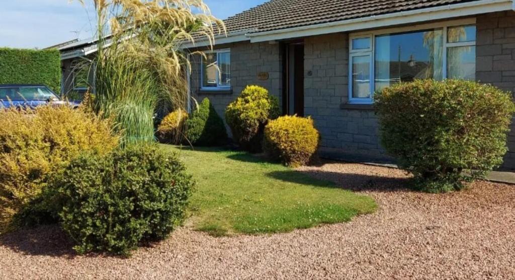 Ivy Cottage, Montrose (updated prices 2026)