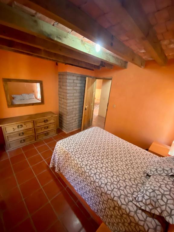 Los Cardos Adventure Park, Jomulco (updated prices 2025)