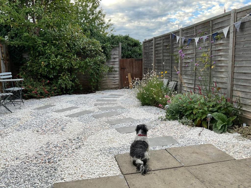 The Old Dairy With Parking - Dog Friendly, Ramsgate (updated prices 2025)