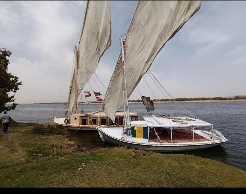 Felouka Merwaw, Aswan (updated prices 2026)