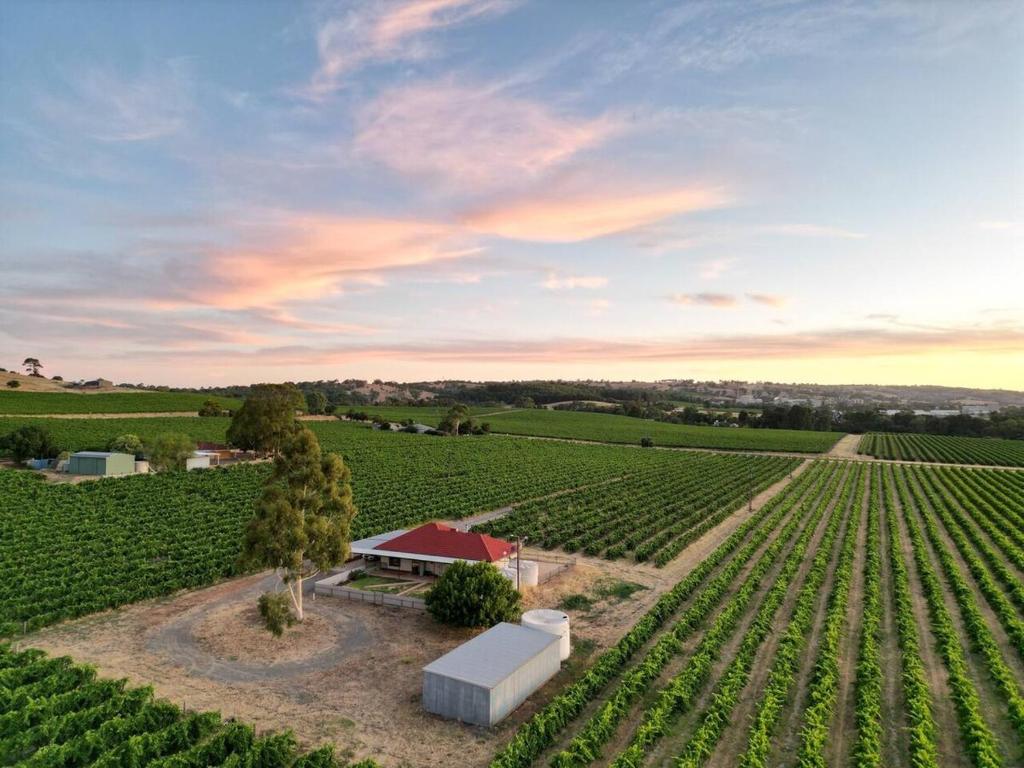 McGill Vineyard Barossa, Lights Pass (aktualisierte Preise für 2025)