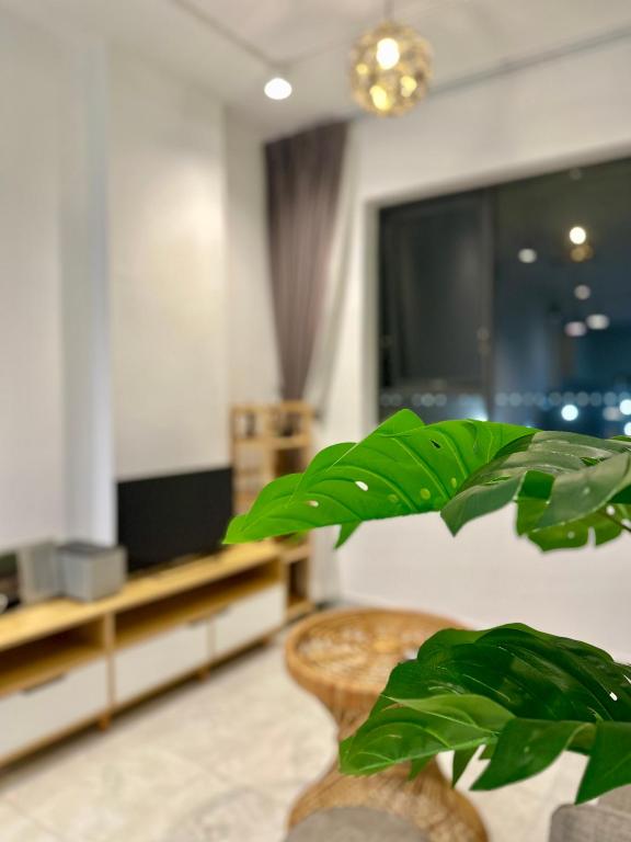 AN's House CS II, Phú Thịnh Plaza, Thôn Mỹ Phước (updated prices 2025)