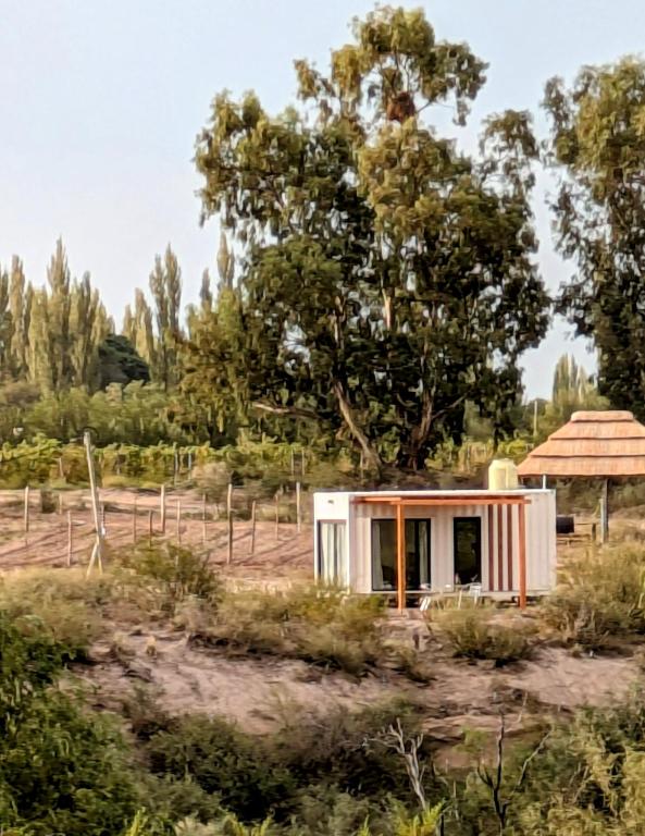 Cabaña Container en Viñedos, San Rafael (updated prices 2025)