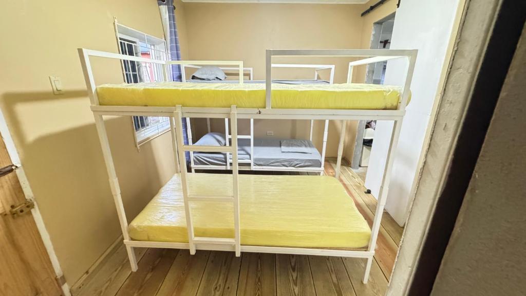 East palm estate hostel, Port Antonio (precios actualizados 2026)