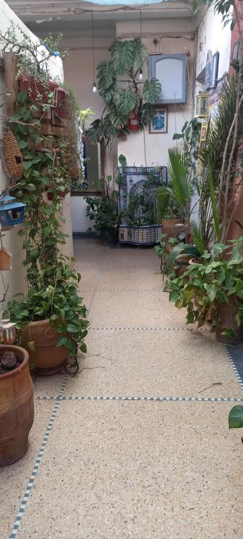 Studio Rmila 1, Marrakesh (updated prices 2026)