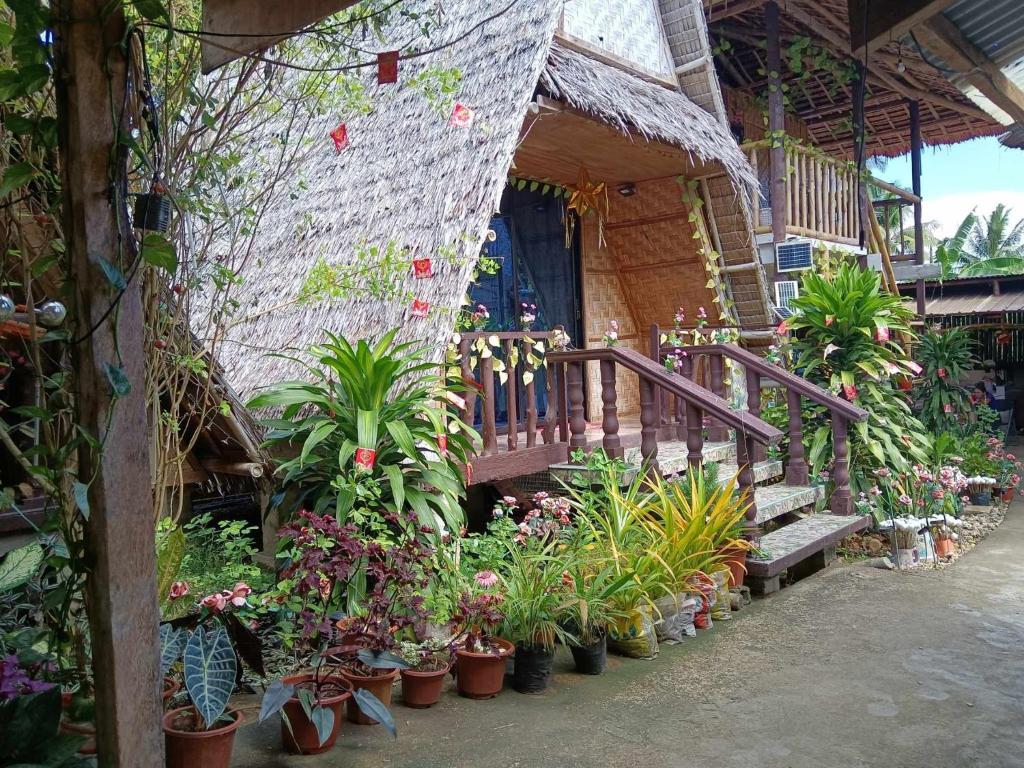 Daisy Food House and Inn, Maria की (2026 के लिए अपडेट हुई कीमत)