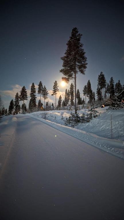 Cozy year-round cabin on family friendly Furutangen, Åmot (updated ...