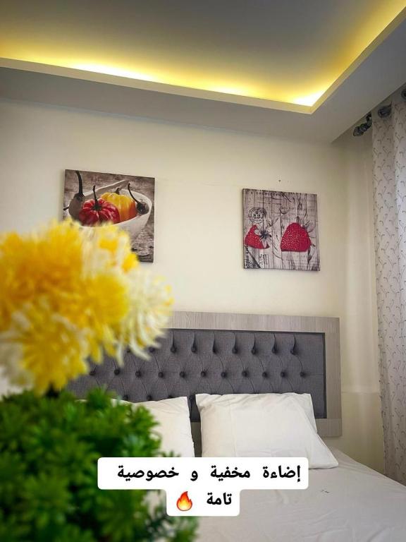 Falcon Real Estate, Amman (updated prices 2026)