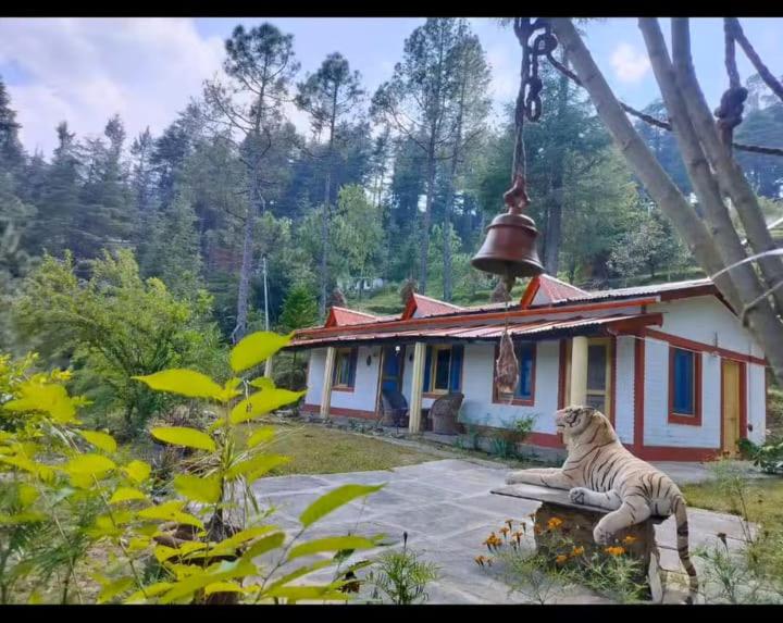 Kumaon deodara cottages, Almora (precios actualizados 2026)