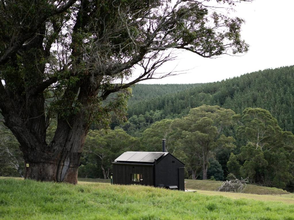 Off-Grid Cabin with Valley Views and Hot Tub - Pepe, Tarra Valley ...