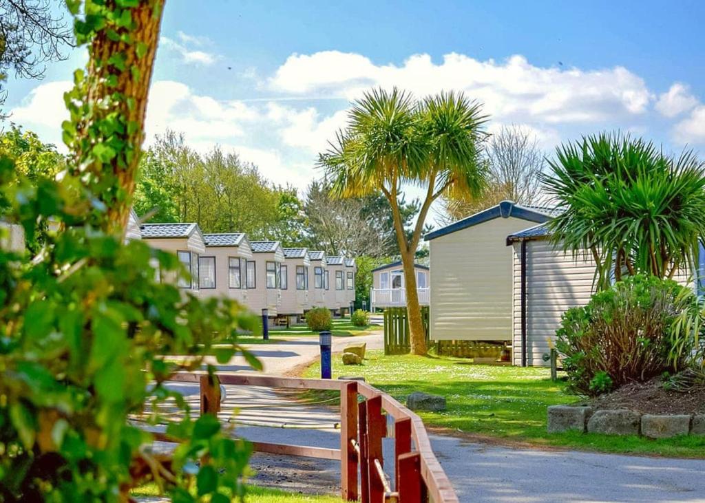 Monkey Tree Holiday Park, Newquay (updated prices 2025)