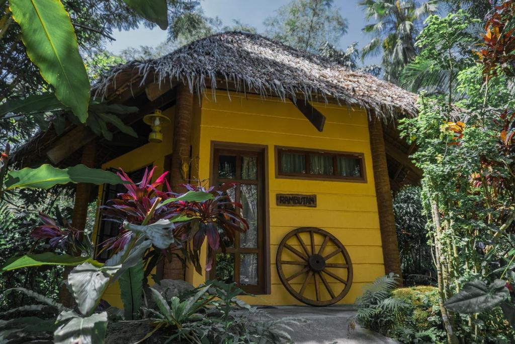 Forest Camp, Valencia (updated prices 2026)