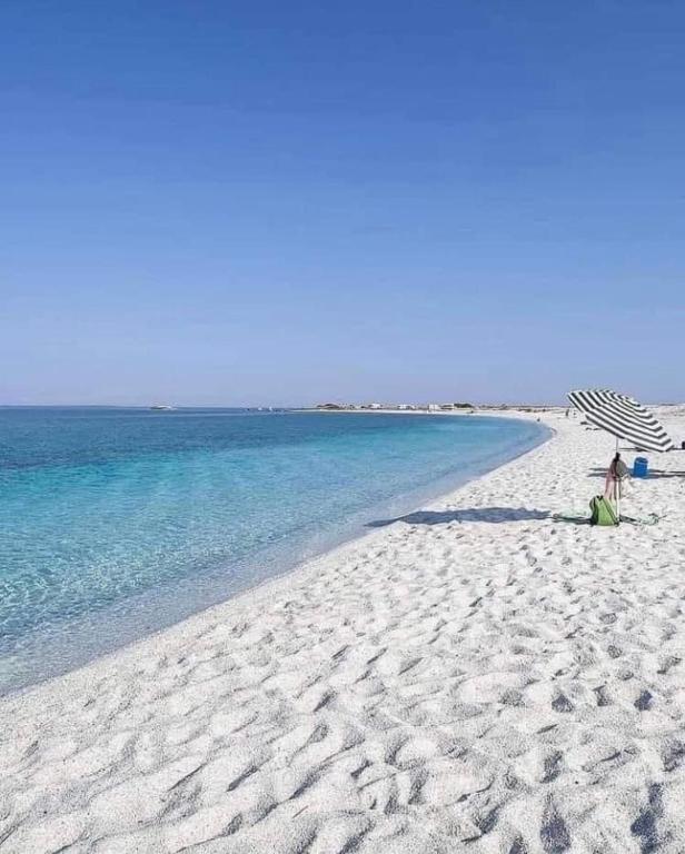 La Conchiglia sul Mare, Vada (precios actualizados 2026)