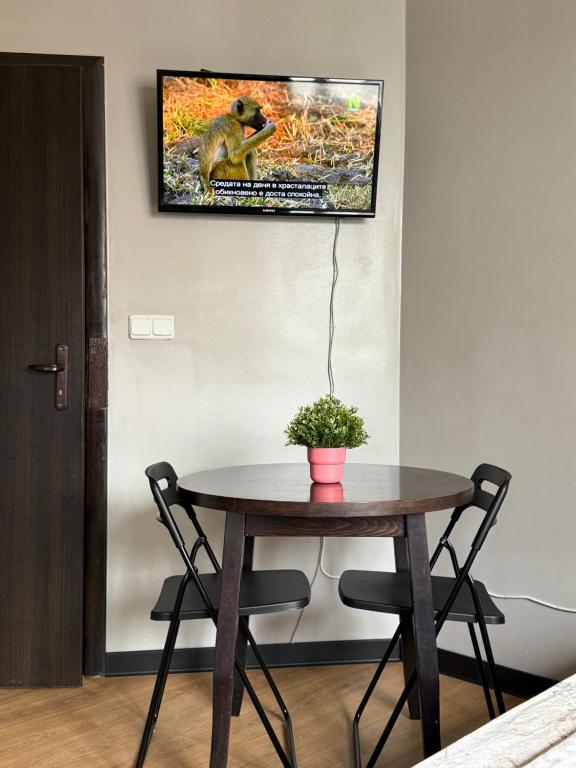 Belinsky apartment, Sofia (updated prices 2025)