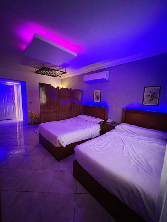 Delta Sharm studio with garden view, Sharm El Sheikh (updated prices 2025)