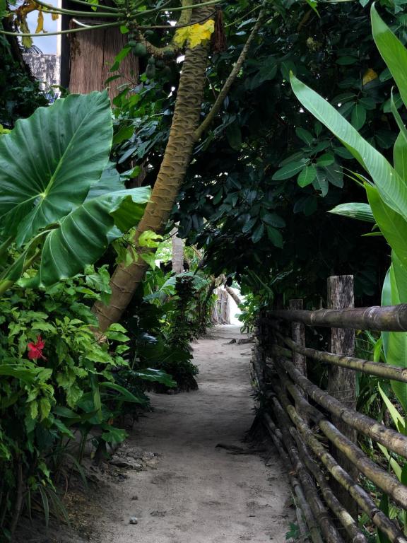 Tuason Inn at Tuason Point Surfing Spot, General Luna, General Luna ...