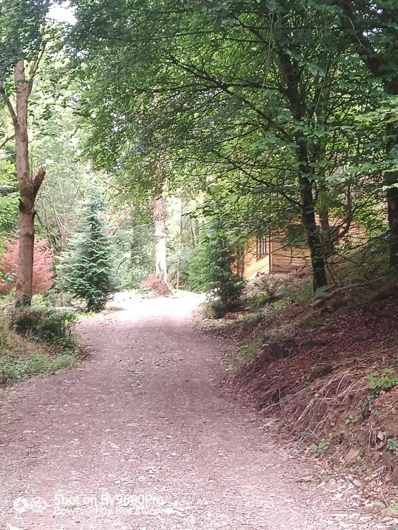 La La Land, Ballyduff (updated prices 2025)