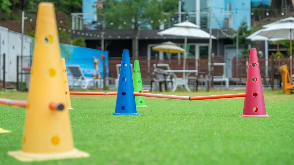 Hoengseong Withpet Village, Hoengseong (updated prices 2025)