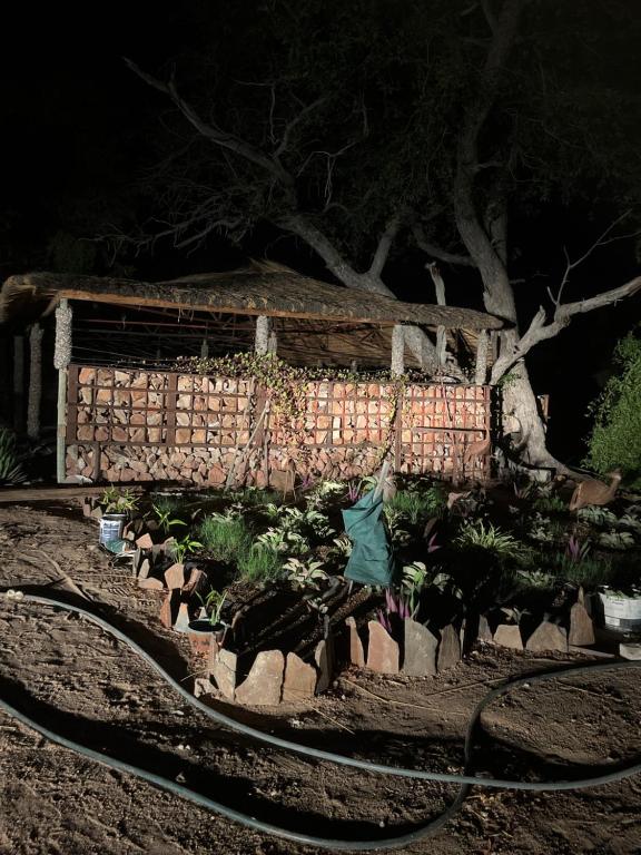 Aabadi Mountain Camp & Campsite, Khorixas (updated prices 2025)