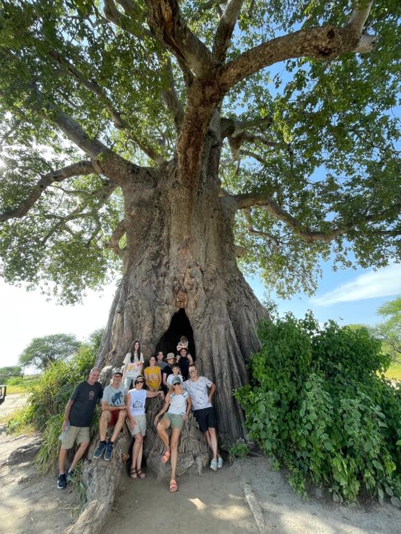 The New Njiro Legacy, Arusha (updated prices 2025)