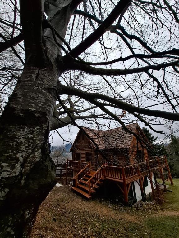 Veresko Villa, Lacu Rosu (updated prices 2025)