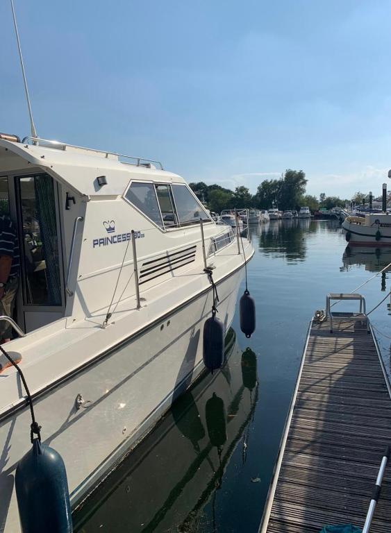 The River Thames - Surrey Boat, Thorpe (updated prices 2026)