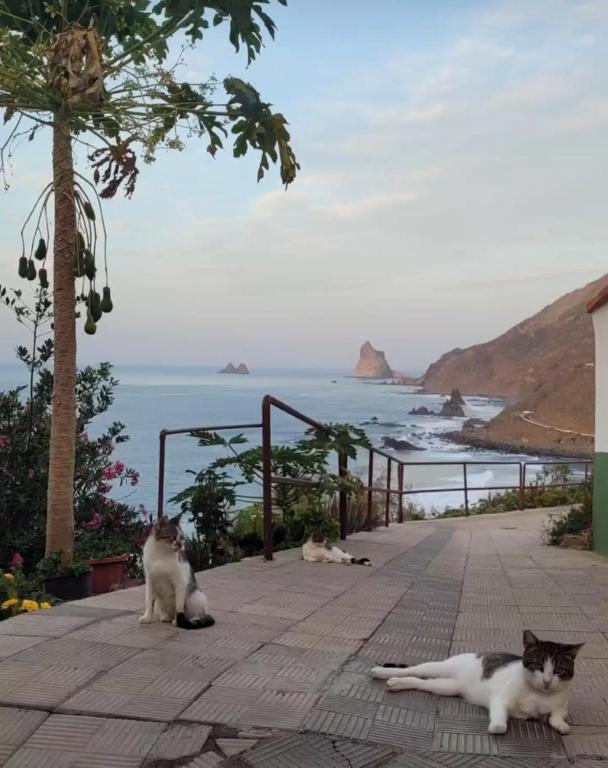 Anaga Manolo Natural Beach House, Almáciga (updated prices 2025)