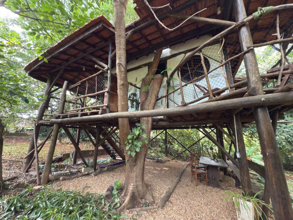 Flamboyant, São Pedro (precios actualizados 2025)