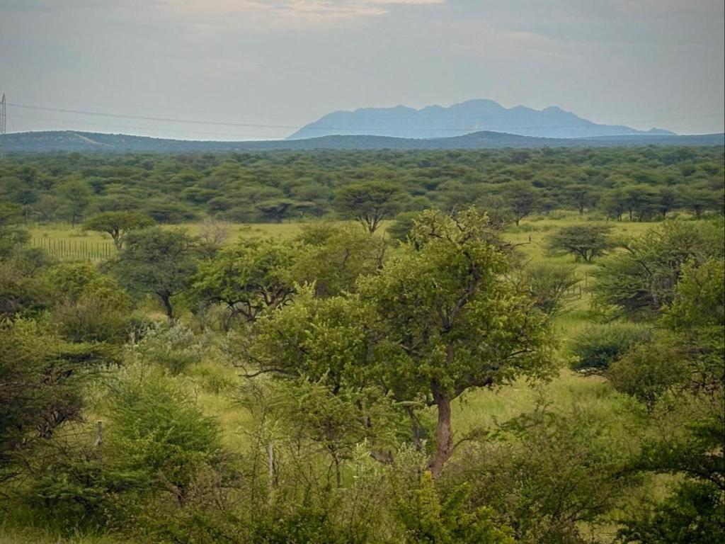 Ndefu Self Catering Accommodation, Otjiwarongo (preços atualizados para ...