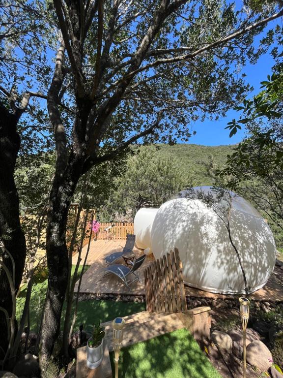 Bulle du Fangu, Galeria (updated prices 2025)