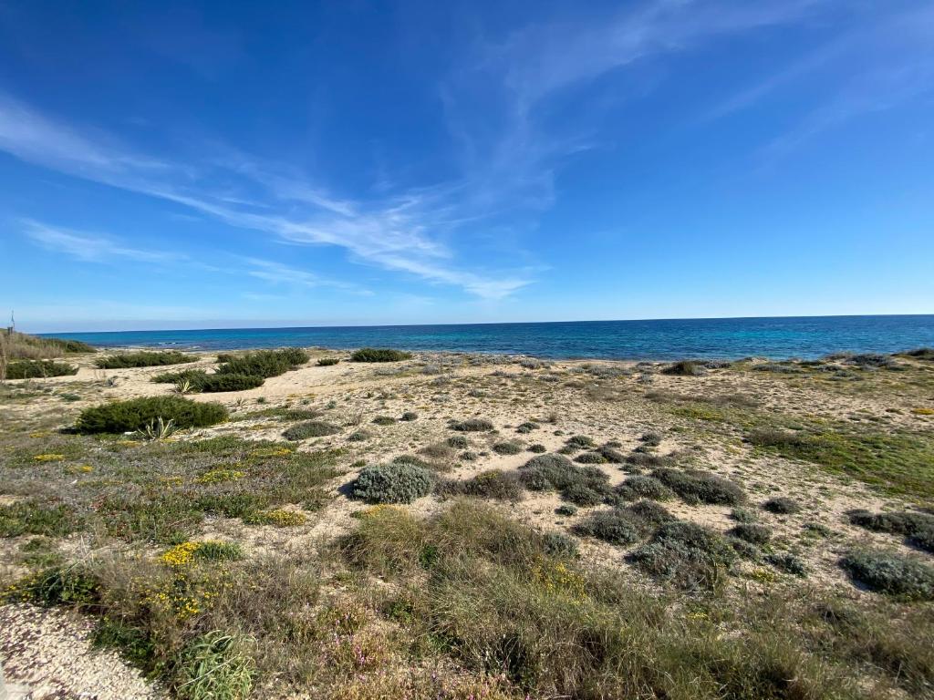 lu Jentu, Torre Ovo (updated prices 2025)