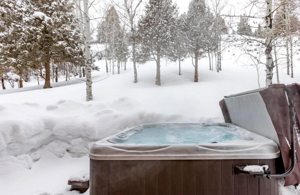 Magnificent Cabin with Spa and Luxurious Interior in Wyoming, Alpine ...