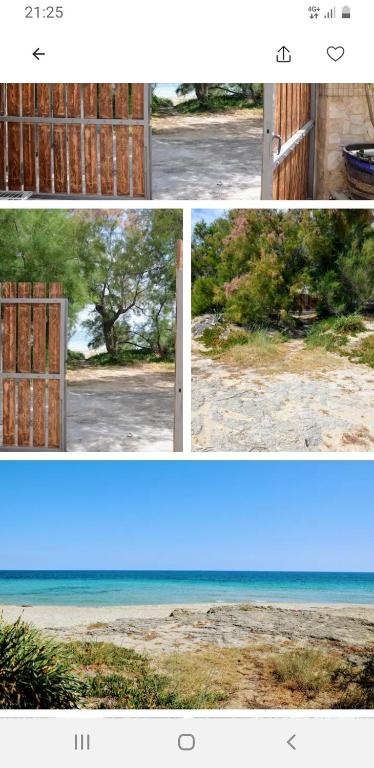 Da Nuccio, San Pietro in Bevagna (updated prices 2025)